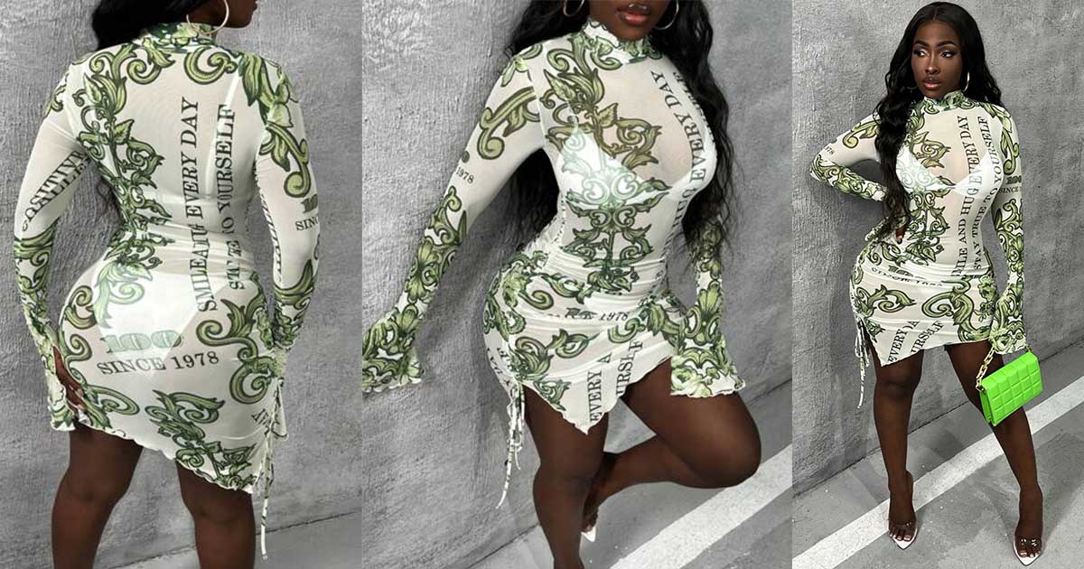 Semi High Neck Drawstring Sheer Mesh Dress - CariBuy Belize